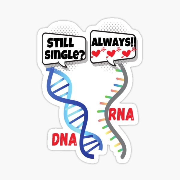 "STILL SINGLE? DNA ALWAYS RNA FUNNY MEDICAL LABORATORY SCIENTIST ...
