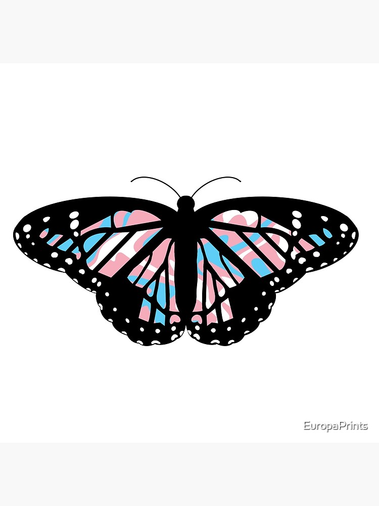 "Transgender Pride Butterfly" Poster for Sale by EuropaPrints | Redbubble