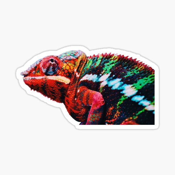 "cameleon 3D" Sticker for Sale by zarakteam | Redbubble