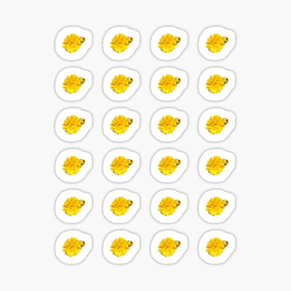 "Yellow Daisy" Sticker for Sale by STHogan | Redbubble