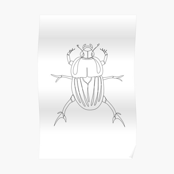 "Scarab Beetle . Single Line Drawing" Poster for Sale by primapixie ...