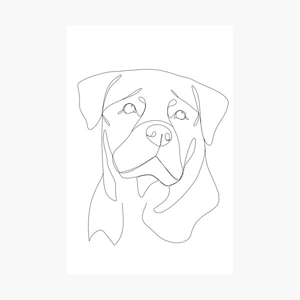 "Rottweiler . Single Line Drawing" Photographic Print for Sale by ...