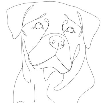 "Rottweiler . Single Line Drawing" Art Board Print for Sale by ...