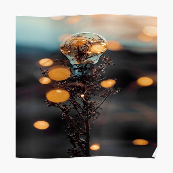 "Fairy light bulb print" Poster for Sale by theamdesigns | Redbubble