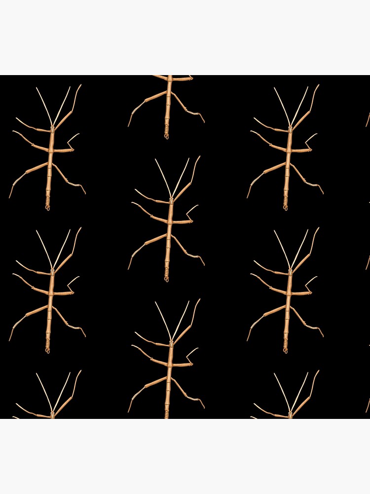 Stick insect grasshopper insect design Socks sold by Israel Purple ...