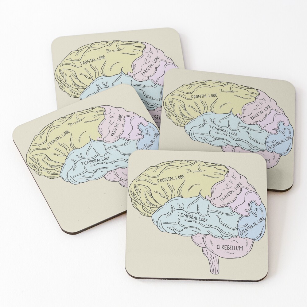 "Brain Diagram Psychology Neurology" Sticker for Sale by Katlligraphy ...