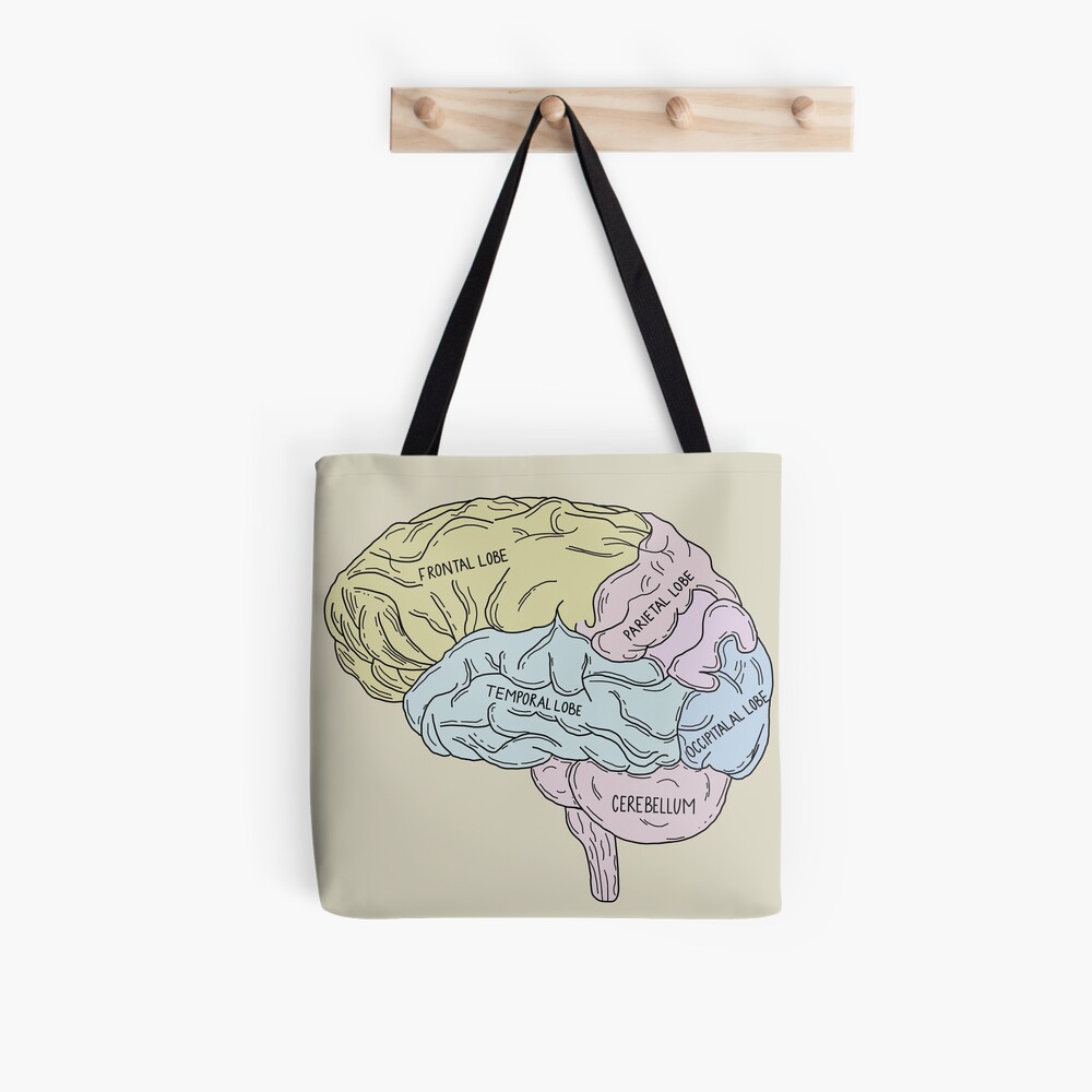 "Brain Diagram Psychology Neurology" Sticker for Sale by Katlligraphy ...