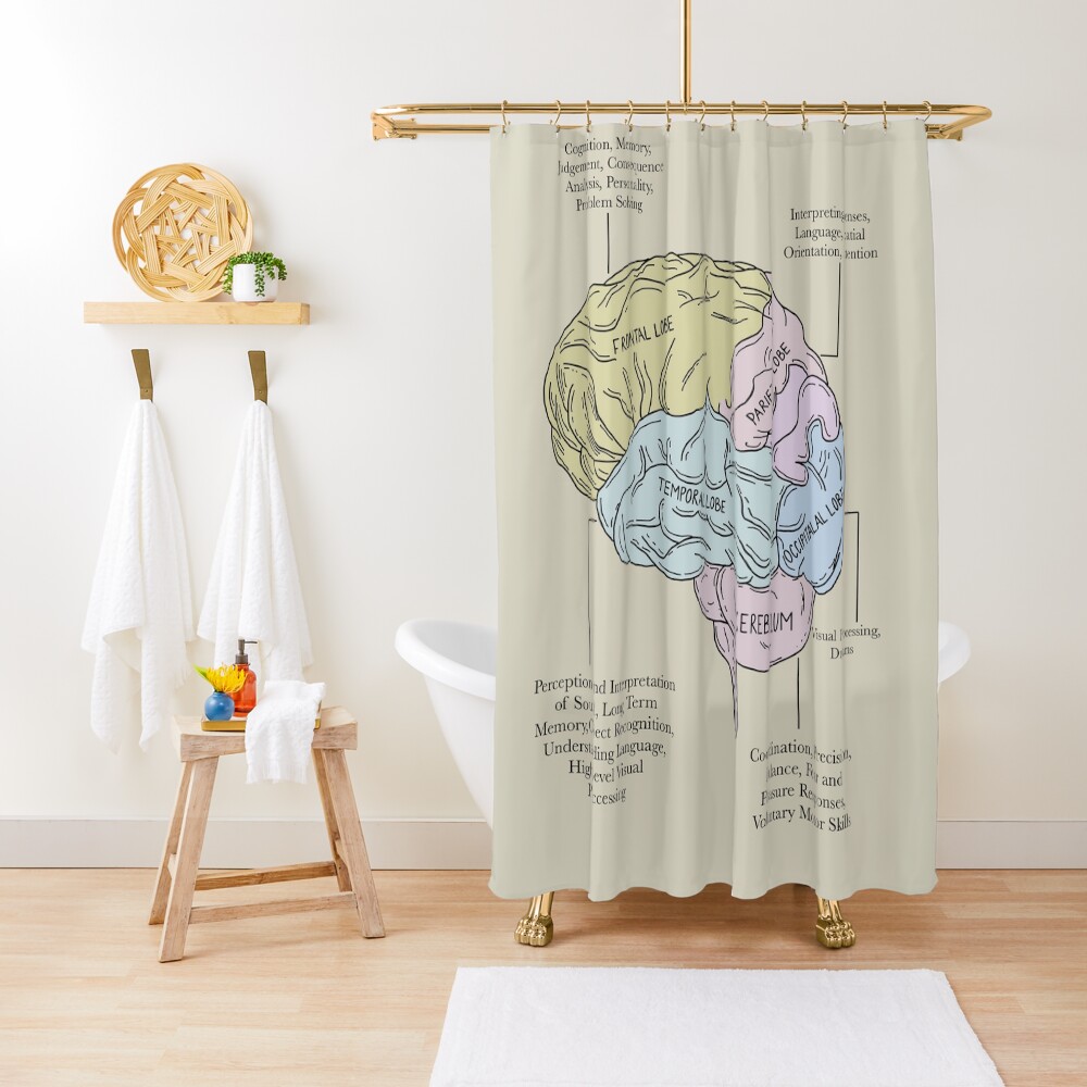 "Labeled Brain Diagram Psychology " Poster for Sale by Katlligraphy ...