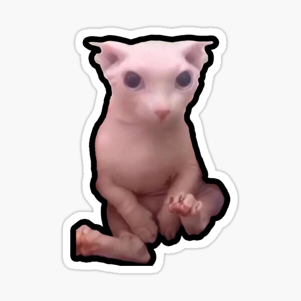 "BINGUS MY BELOVED" Sticker by Hunters11 | Redbubble