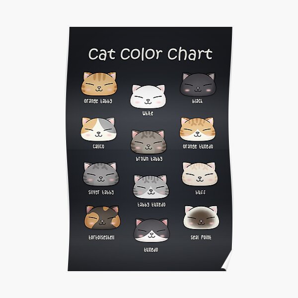 "Cats Color Chart" Poster by Takeda-art | Redbubble