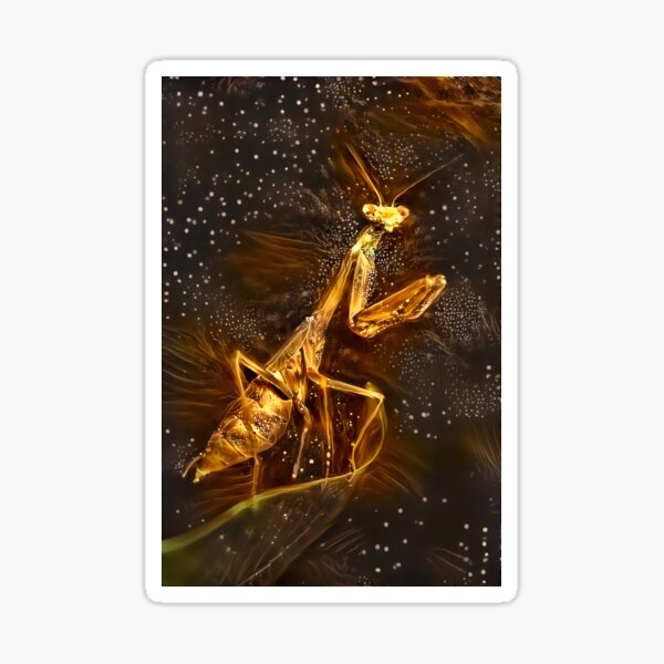 "Glowing Mantis" Sticker for Sale by PlacidHinds | Redbubble