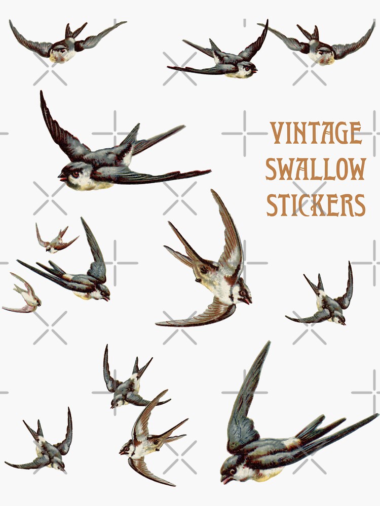 "Vintage Swallow stickers" Sticker for Sale by Salocin | Redbubble