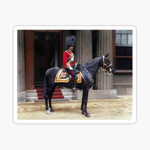 "King George V at Buckingham Palace in 1914, shortly before the ...
