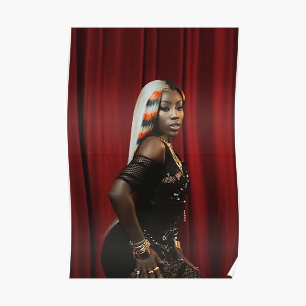 "bree runway aesthetic little nokia" Poster for Sale by lexynlee ...