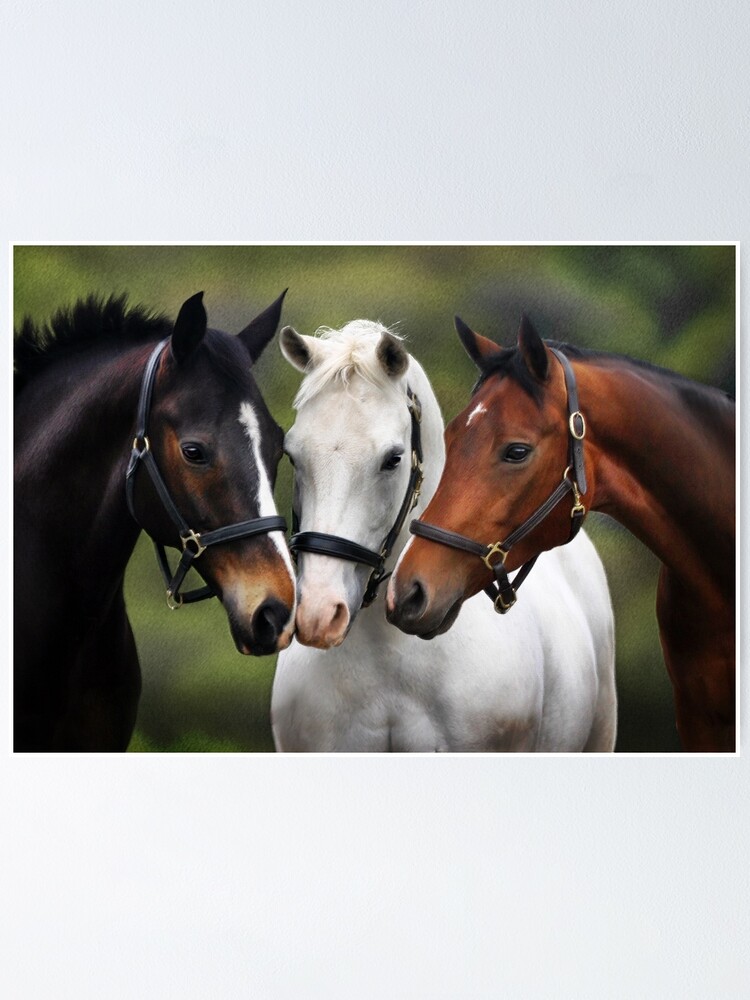 "Three friends" Poster for Sale by nickywtewart | Redbubble