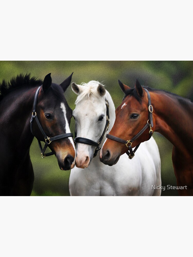 "Three friends" Sticker for Sale by nickywtewart | Redbubble
