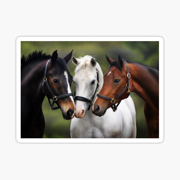 "Three friends" Sticker for Sale by nickywtewart | Redbubble