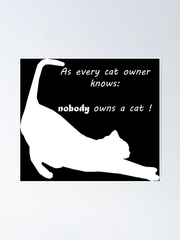"As every cat owner knows, nobody owns a cat, stretching cat" Poster by ...