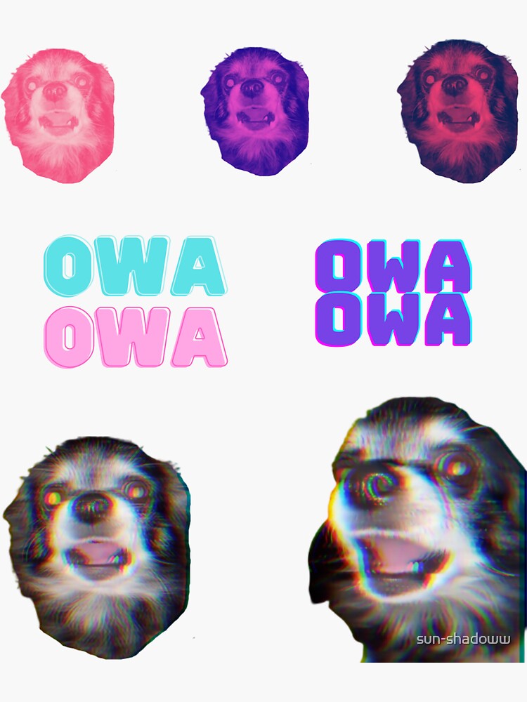 "OWA OWA Glitch effect Pudgy woke dog" Sticker by sun-shadoww | Redbubble
