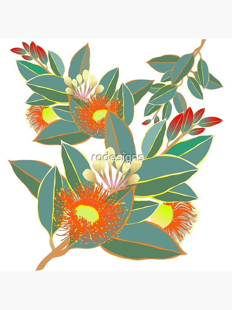 "Flowering Gum" Poster for Sale by rodesigns | Redbubble
