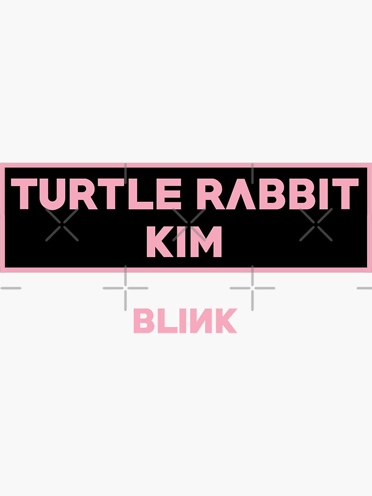 "Turtle Rabbit Kim" Sticker for Sale by kookipunk-art | Redbubble