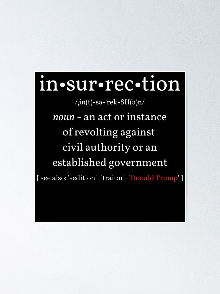 "Insurrection Defined Also... (black or white ink)" Poster for Sale by ...