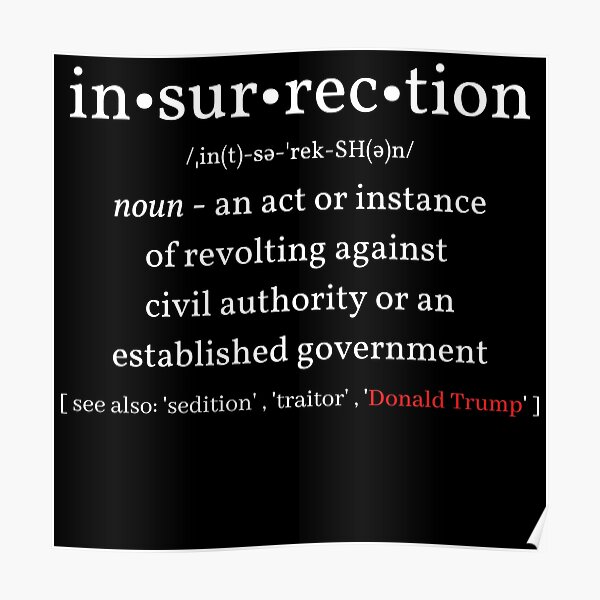 "Insurrection Defined Also... (black or white ink)" Poster for Sale by ...