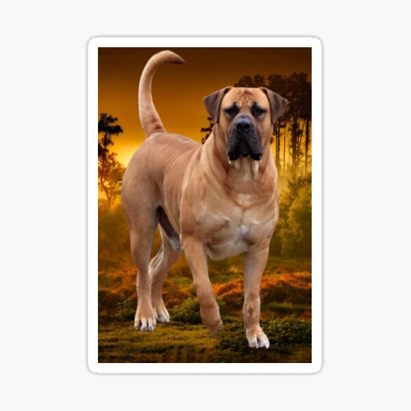 "Proud boerboel" Sticker for Sale by julset | Redbubble