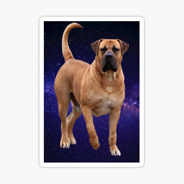 "Proud boerboel" Sticker for Sale by julset | Redbubble