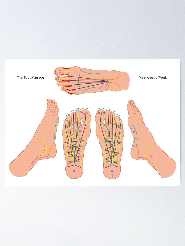 Thai Foot Massage Reflexology Map Poster For Sale By Milansensiart Redbubble