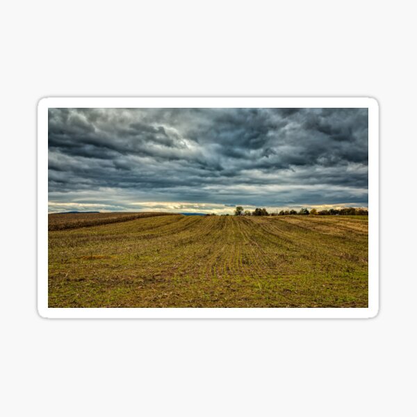 "Deeper Meanings" Sticker by Picturart | Redbubble