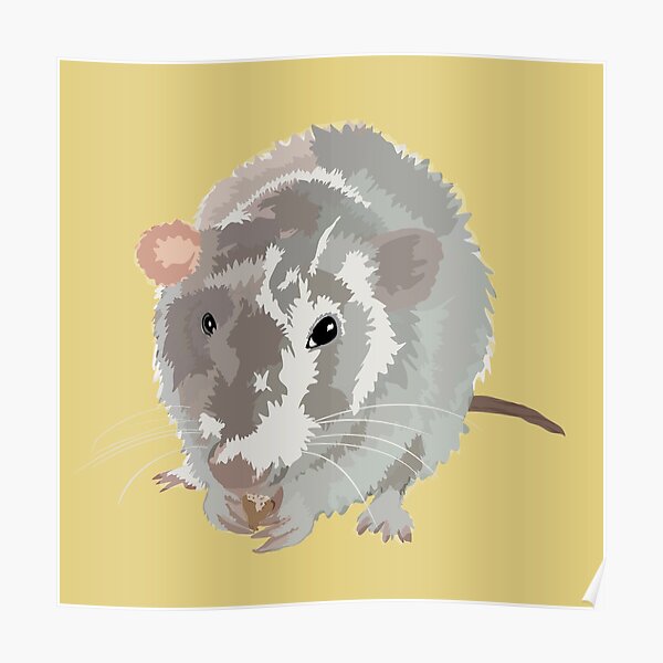 "PJ - Daddy Rat" Poster by NattyDesigns | Redbubble