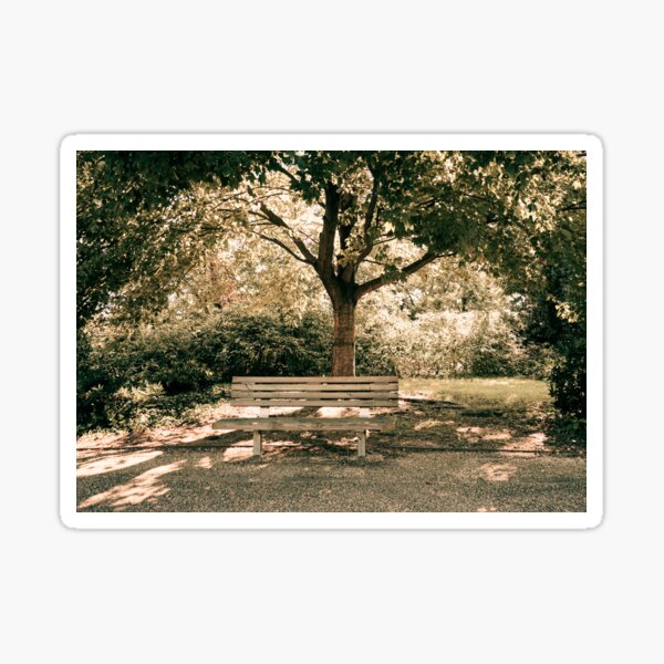 "Bench Under Tree Canopy" Sticker for Sale by Ollivrosa | Redbubble