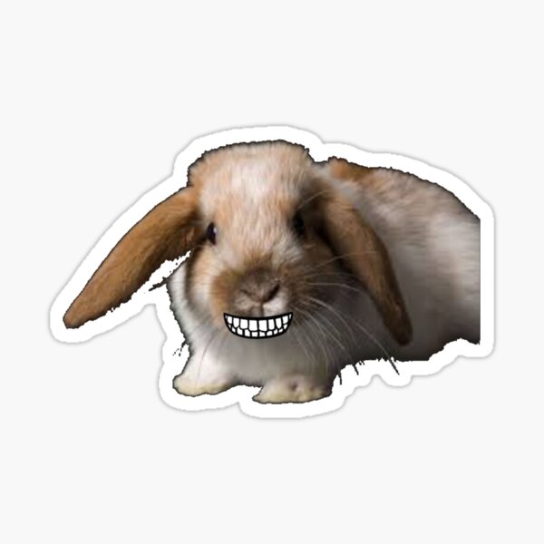 "Smiling Bunny Rabbit" Sticker for Sale by gbaesy | Redbubble