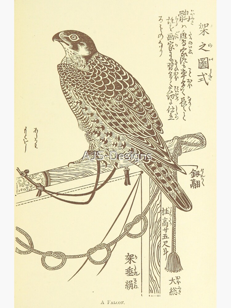 "Vintage Falcon Japanese Print" Sticker for Sale by AJS-Designs | Redbubble