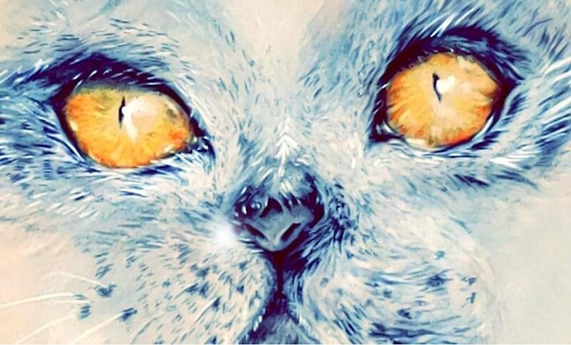 "Winston The Cat Drawing Work In Progress (Up Close Shot)" by Gianna D ...