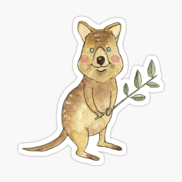 "Quokka" Sticker for Sale by HidemiArtwork | Redbubble