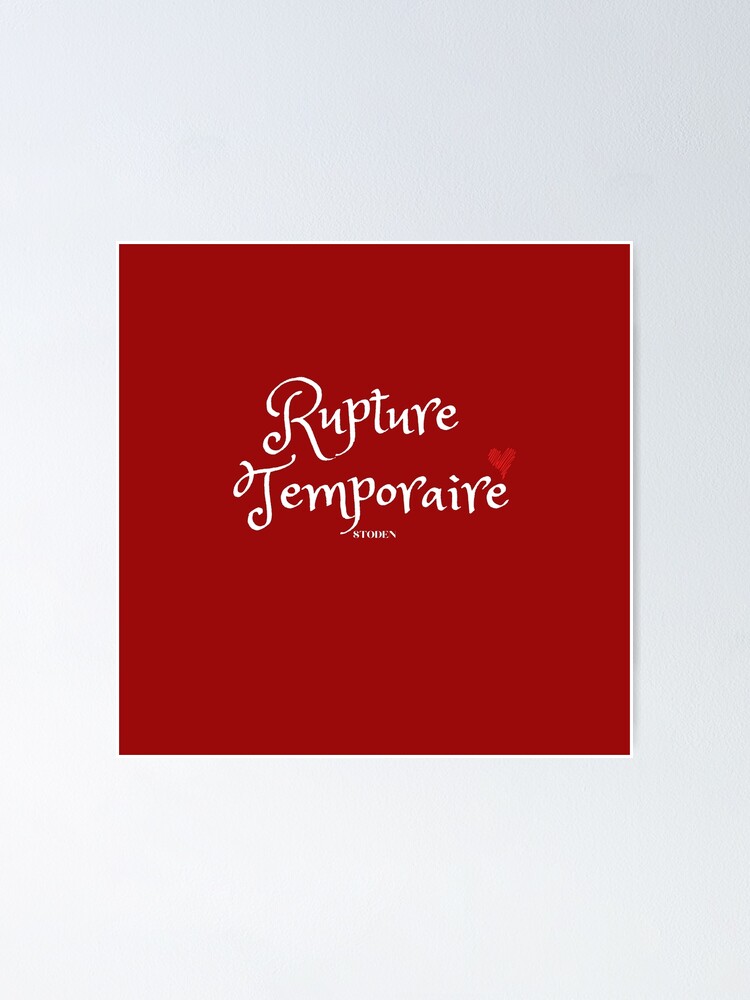 "TEMPORARY BREAKAGE (WHITE)" Poster by STODEN | Redbubble