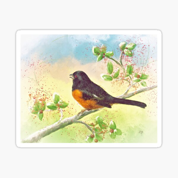 "Singing Eastern Towhee" Sticker by LoisBryan | Redbubble