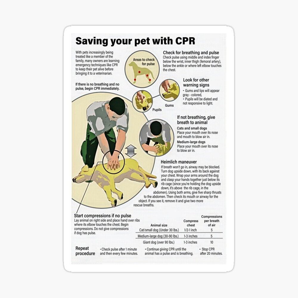 Dog Cpr Chart | ubicaciondepersonas.cdmx.gob.mx