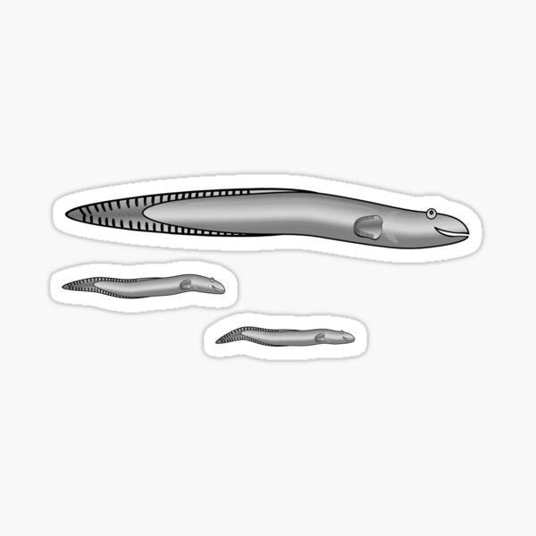 "Cartoon eels. " Sticker for Sale by funkyworm | Redbubble