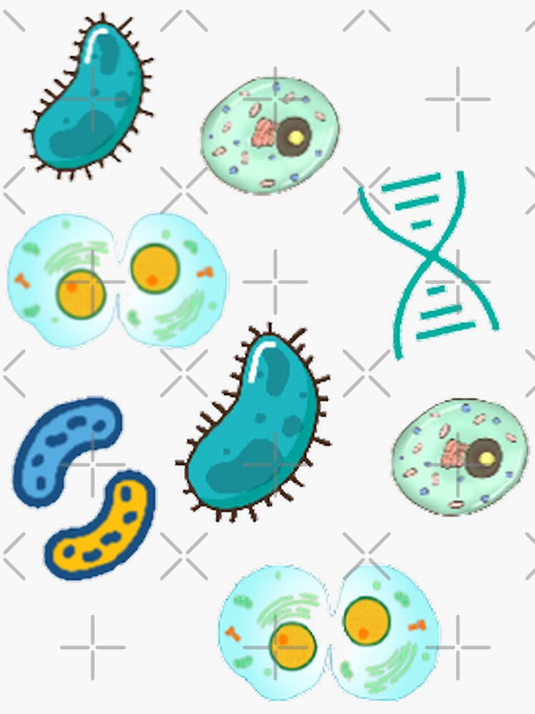 "Hematology - Pack Of Blood Cells" Sticker for Sale by Graphic-hunt ...