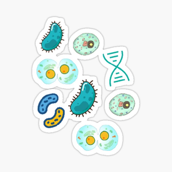 "Hematology - Pack Of Blood Cells" Sticker for Sale by Graphic-hunt ...