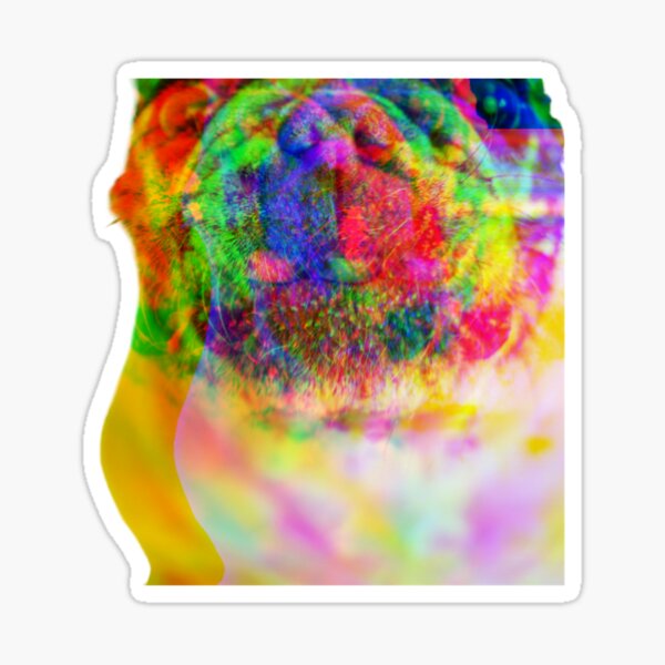 "Hypnotic Dog Cute" Sticker for Sale by Bacanze | Redbubble