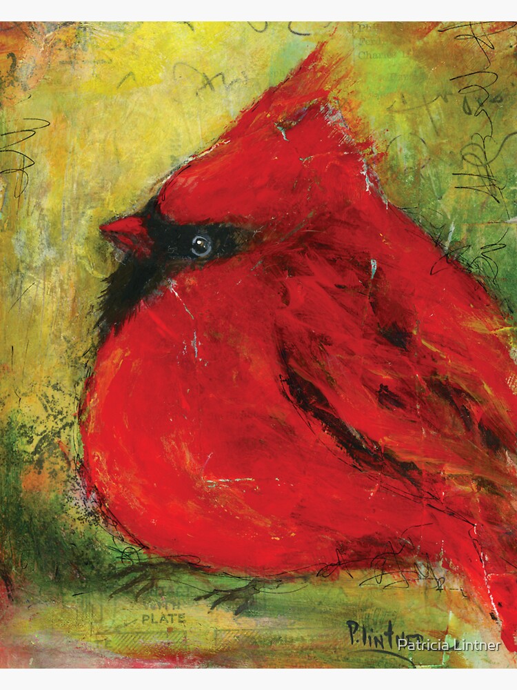 "Cardinal Fat Cardinal" Sticker for Sale by plintner | Redbubble