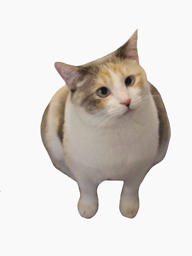 "Round Cat" Sticker for Sale by fatfatpankocat | Redbubble