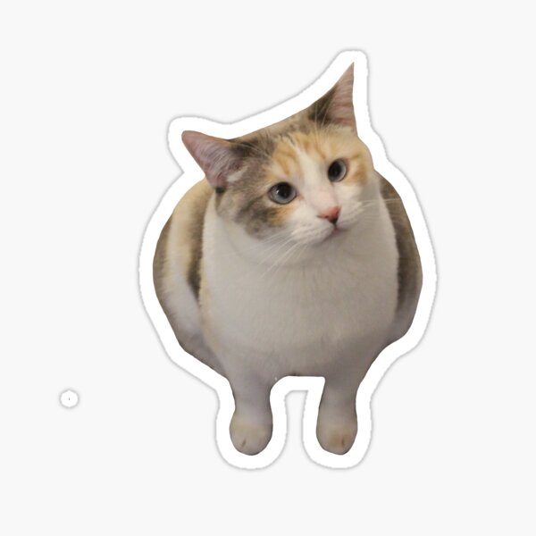 "Round Cat" Sticker for Sale by fatfatpankocat | Redbubble