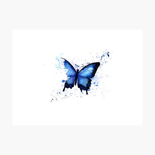 Lámina fotográfica «Mariposa de ala rota» de Resonant-Pixels | Redbubble