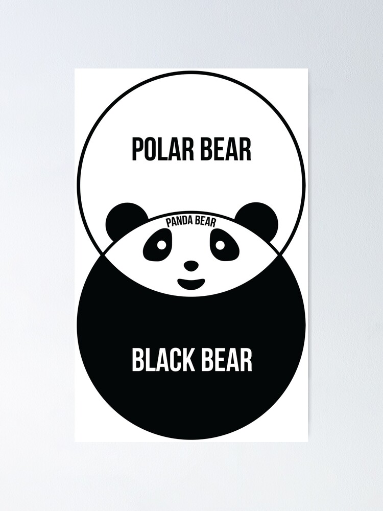 "Panda Bear: Venn Diagram" Poster for Sale by OffensiveFun | Redbubble