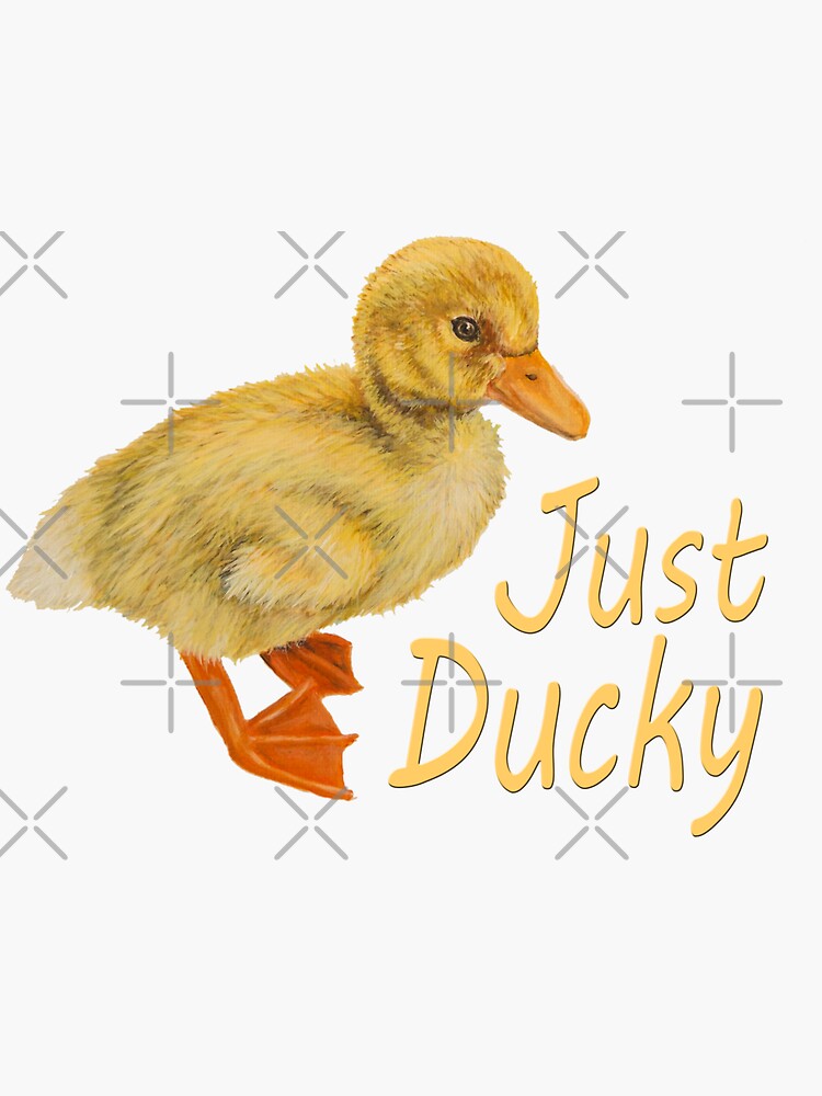 "Just Ducky - cute baby duck" Sticker for Sale by awindingpath | Redbubble